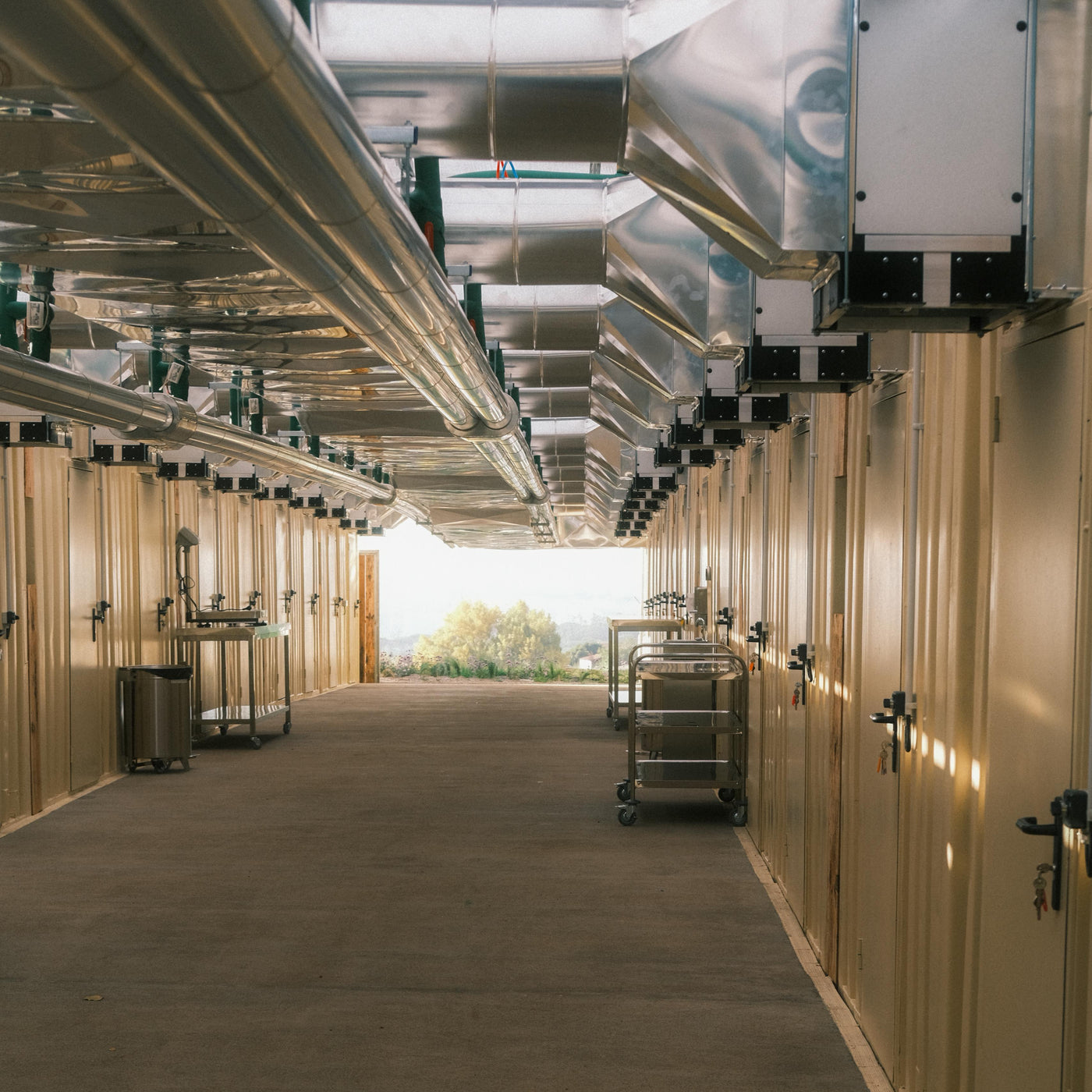 Nãm Mushroom | The future of farming