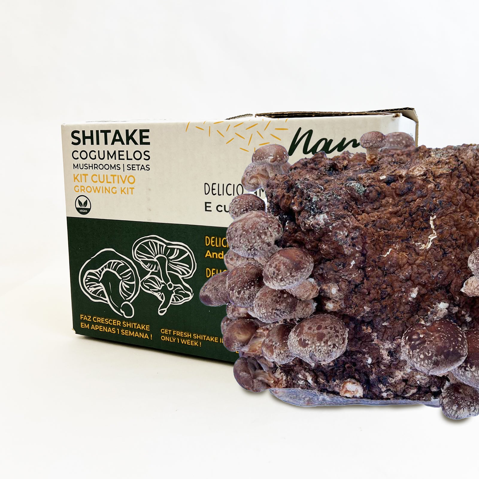 Grow Kit - Cogumelo Shitake